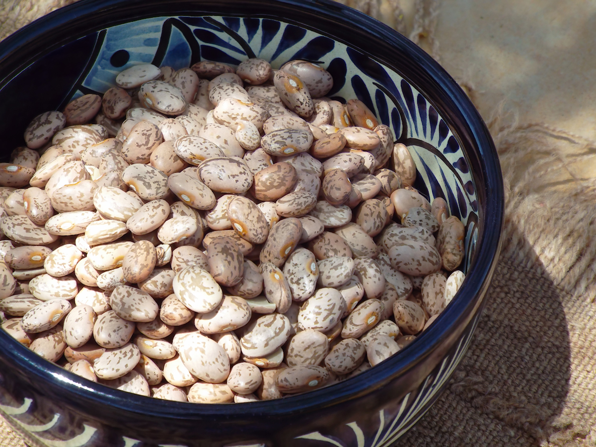 Ancho Pinto Bean Soup - Taste of Lime